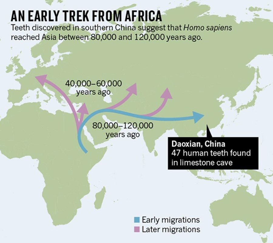 Teeth from China Reveal an Early Human Trek out of Africa | Scientific ...