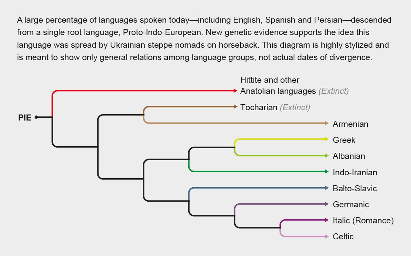 New Evidence Fuels Debate over the Origin of Modern Languages ...