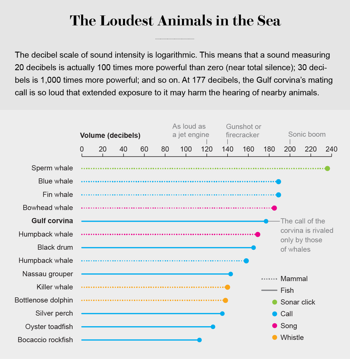 Massive Fish Orgy Produces One of the Loudest Noises under the Sea ...