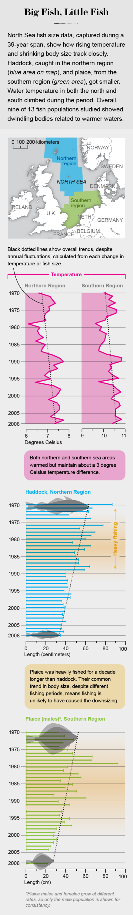 How Global Warming Is Shrinking Earth's Animals | Scientific American