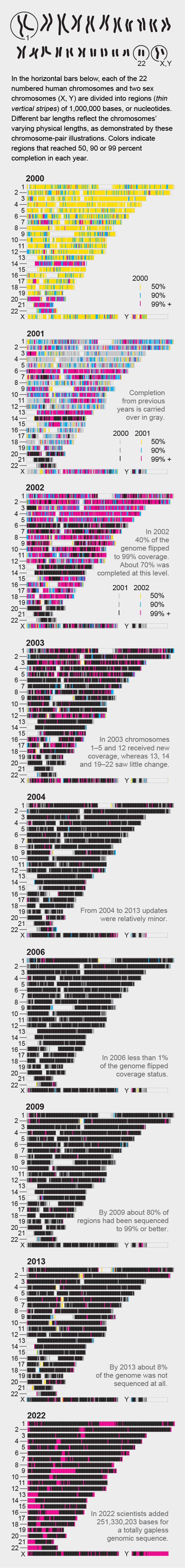 See How Scientists Put Together the Complete Human Genome | Scientific ...