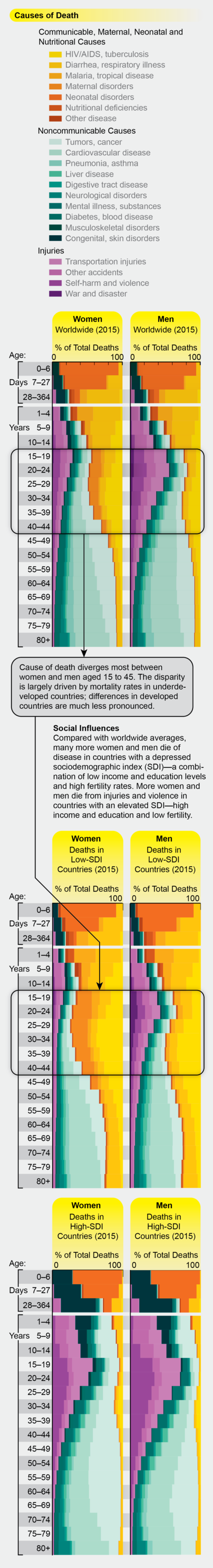 Women and Men Die of Different Causes in Middle Age | Scientific American