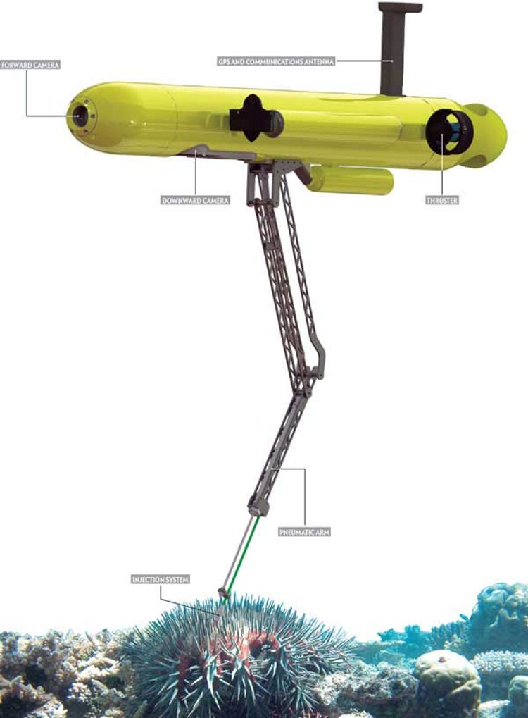 A Starfish-Killing, Artificially Intelligent Robot Is Set to Patrol the ...