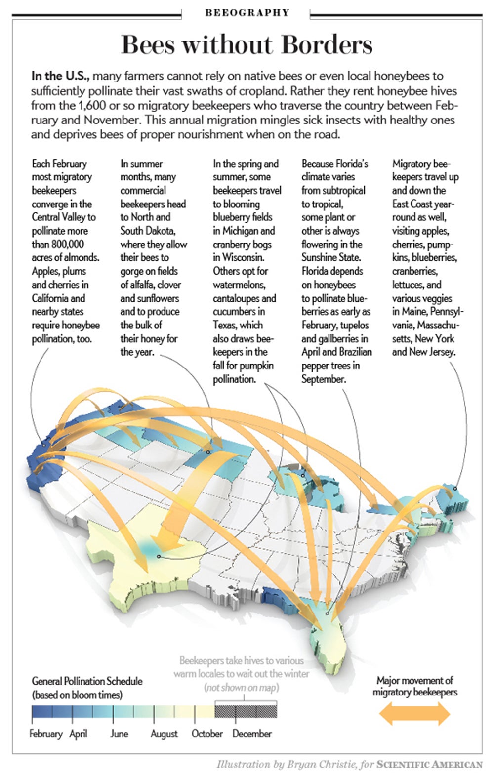 The Mind-Boggling Math of Migratory Beekeeping | Scientific American