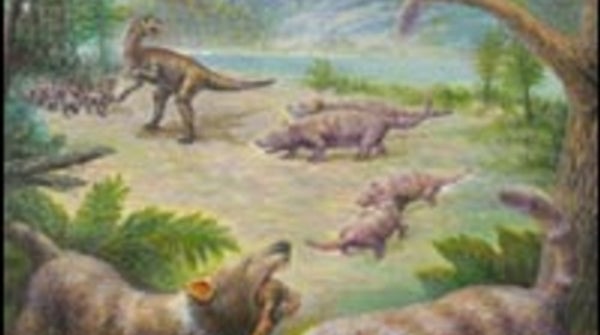 Early Mammal Dined on Dinosaurs - Scientific American