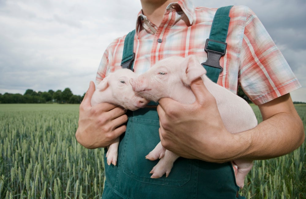 Human Viruses Can Jump into Animals, Too--Sowing the Seeds of Future ...