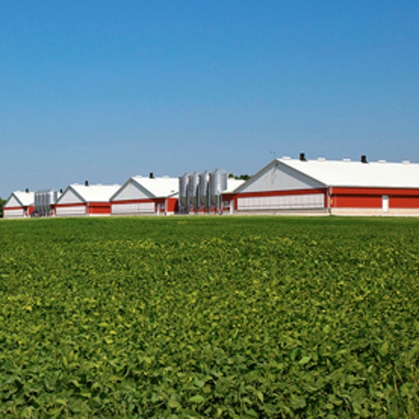 Farming the Future: GM Crops Recommended as Key Part of Obama's ...