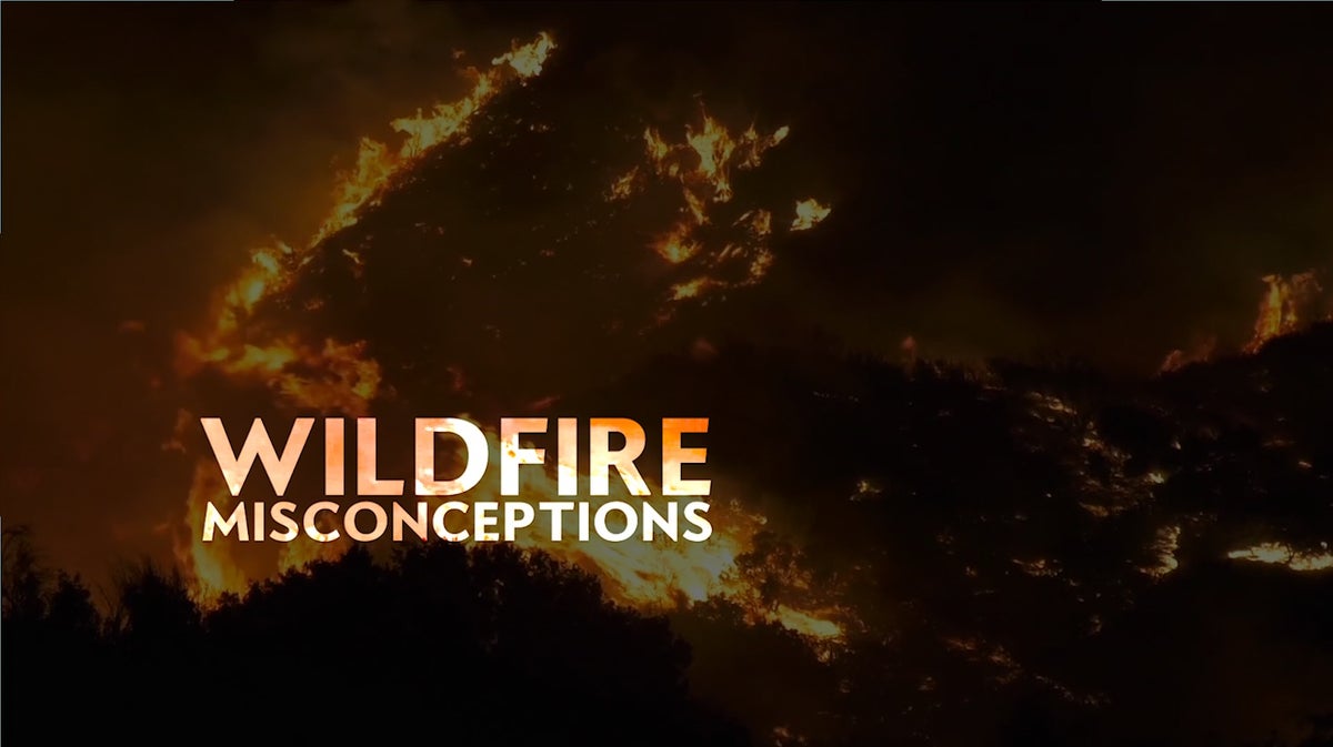 Misconceptions about Wildfires Are Fueling the Problem | Scientific ...