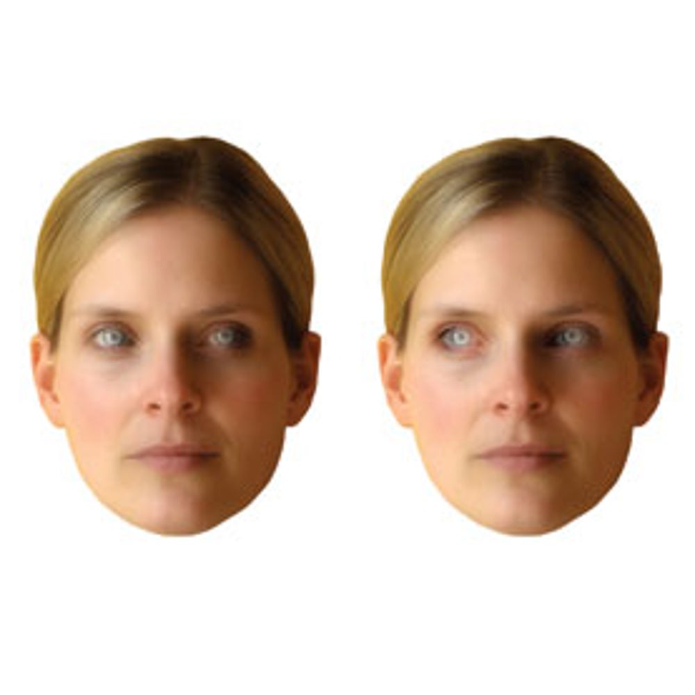 The Eyes Have It | Scientific American