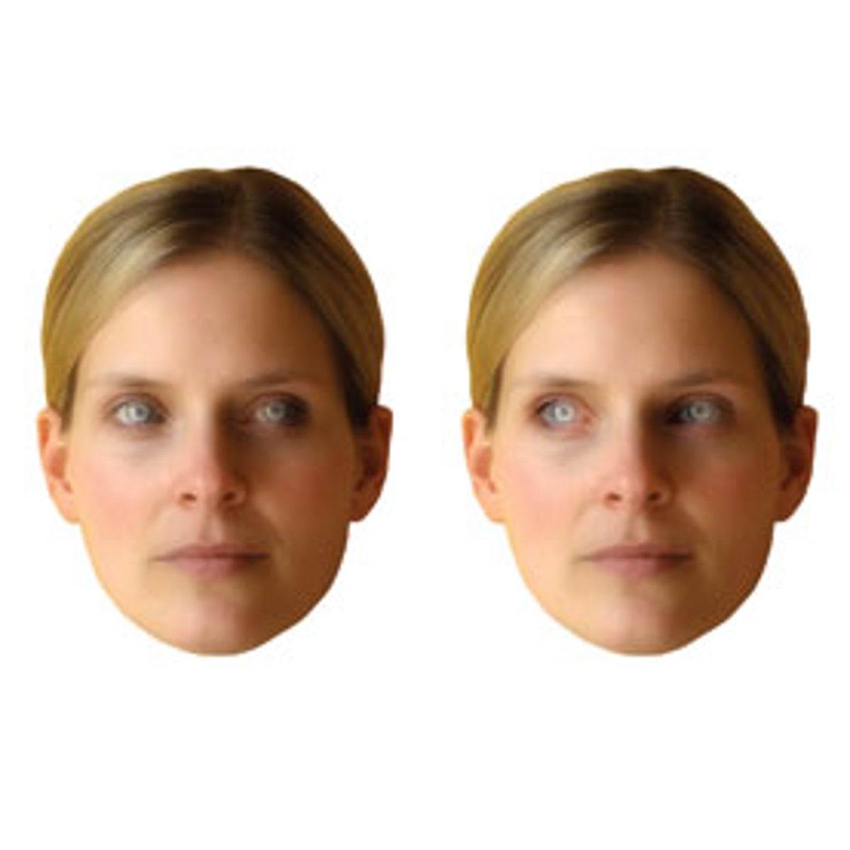 The Eyes Have It | Scientific American