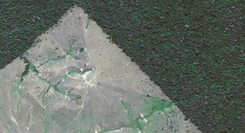 Why Some Amazonian Societies Survived and Others Perished amid Pre ...