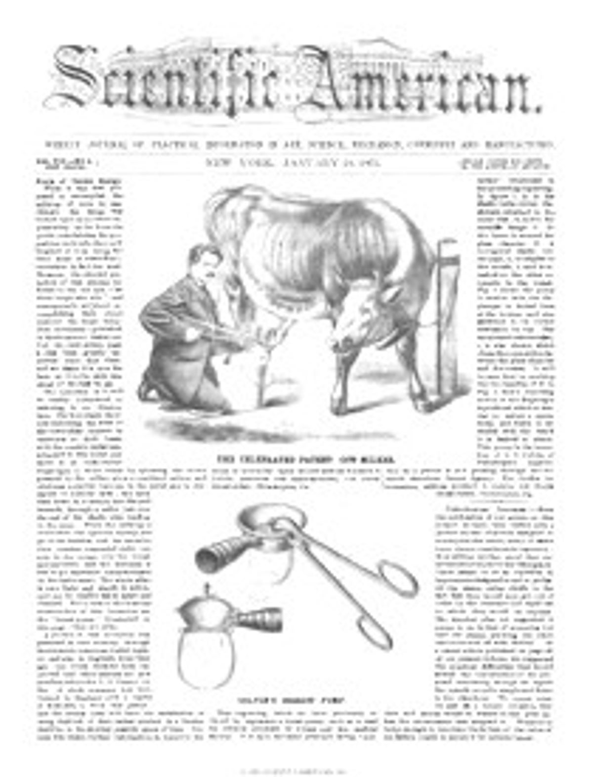 Scientific American Volume 8, Issue 4 | Scientific American Scientific American Volume 8, Issue 4 | Scientific American