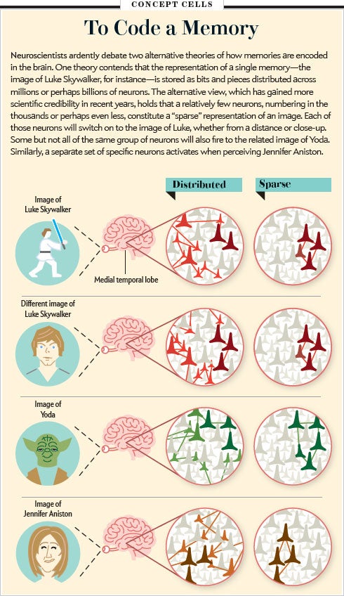 code a memory, memory storage - Scientific American