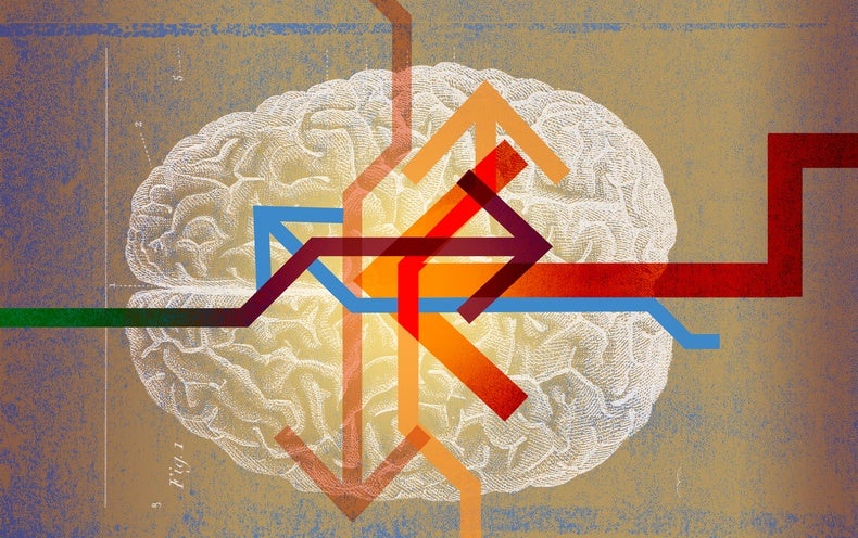 The Neuroscience of Changing Your Mind - Scientific American