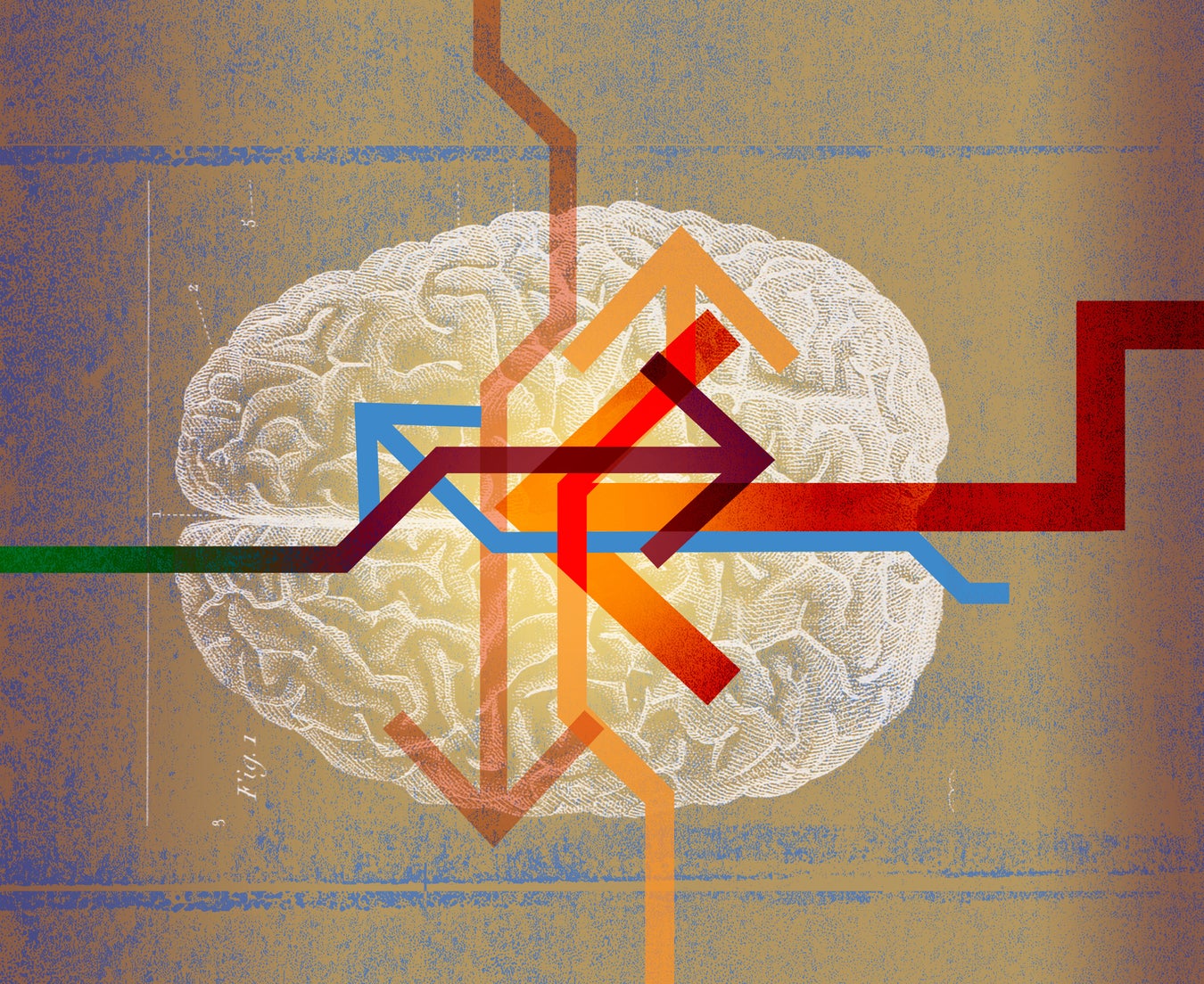 The Neuroscience of Changing Your Mind | Scientific American