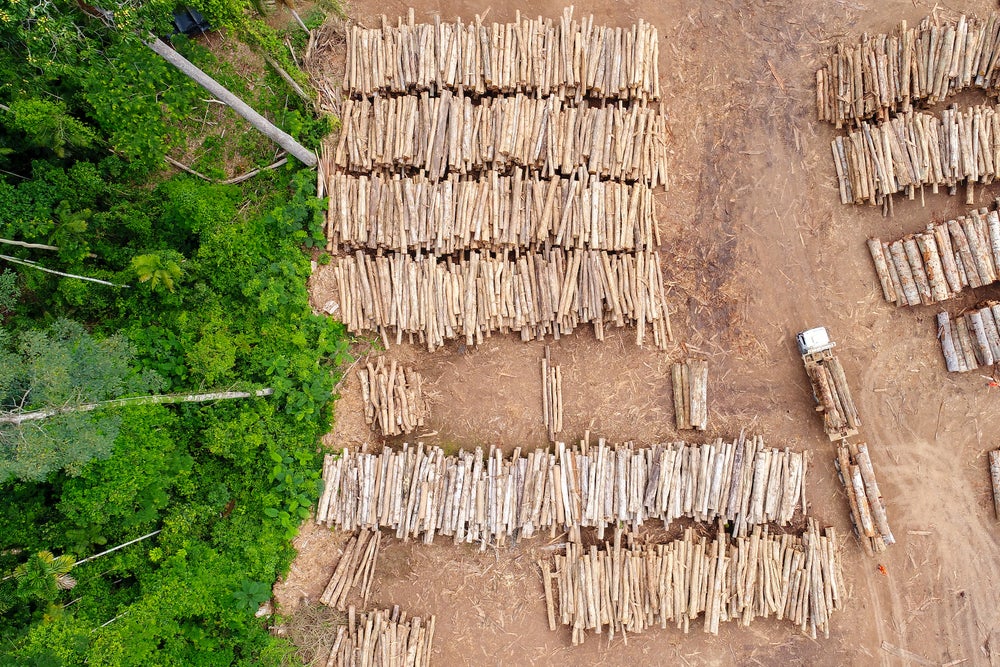 One Third of the Amazon Has Been Degraded by Human Activities ...