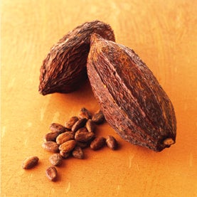Is Cocoa the Brain Drug of the Future? - Scientific American