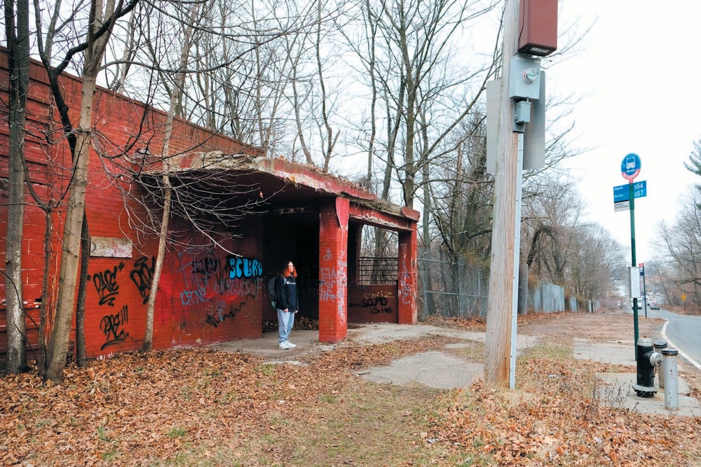 Better Bus Systems Could Slow Climate Change | Scientific American