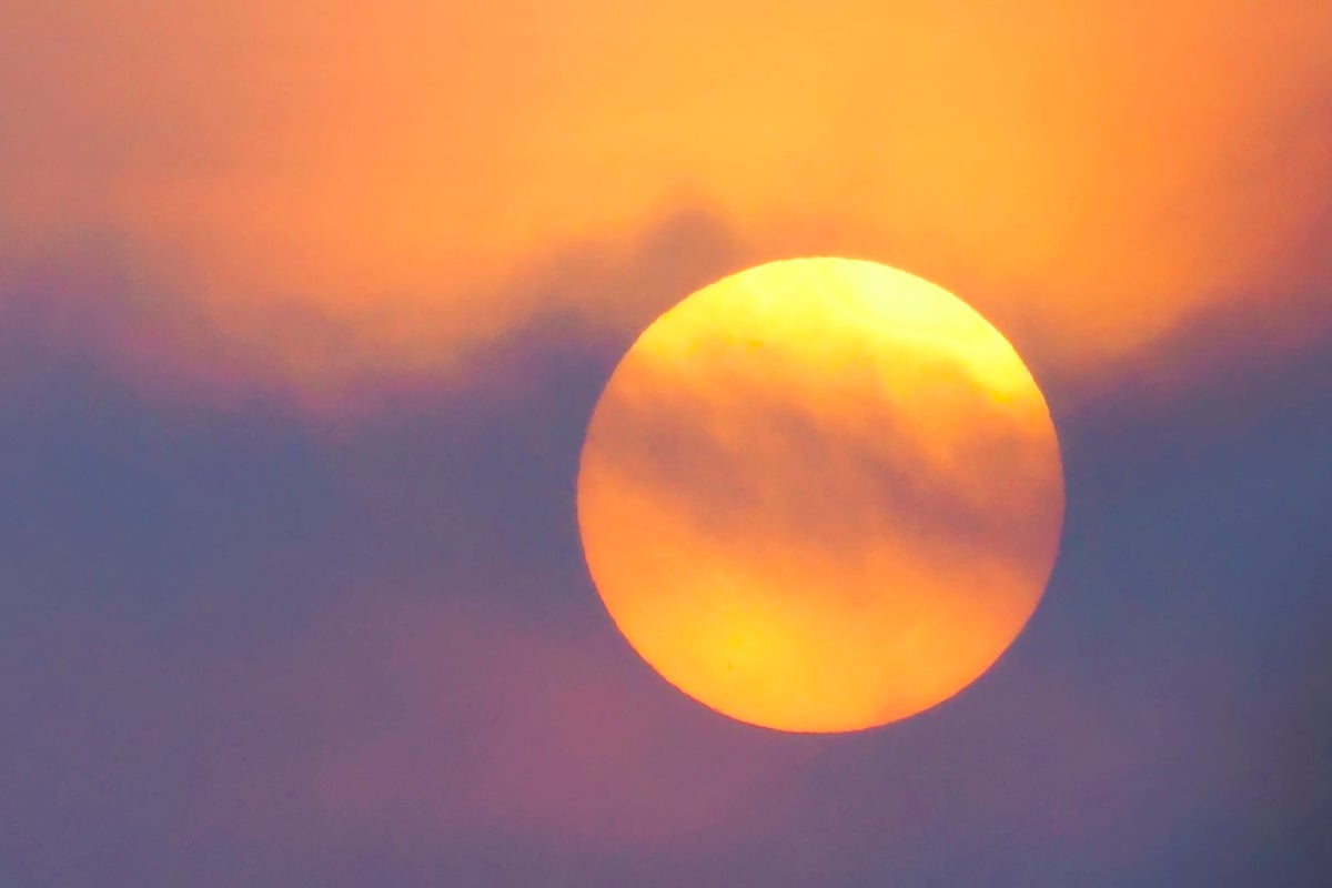 Gun Cotton and Collodion | Scientific American