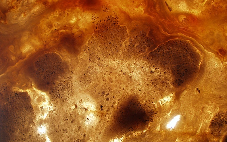 Complex Life Could Be Vastly Older Than Thought - Scientific American