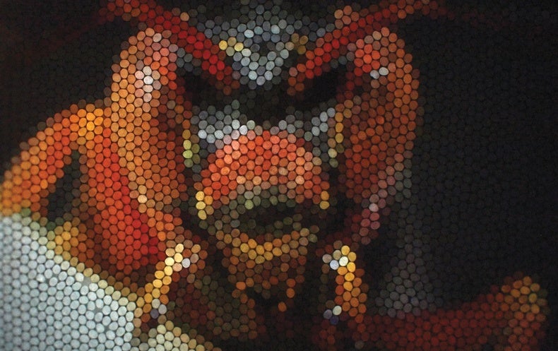 Insects Recognize Faces Using Processing Mechanism Similar to That of ...
