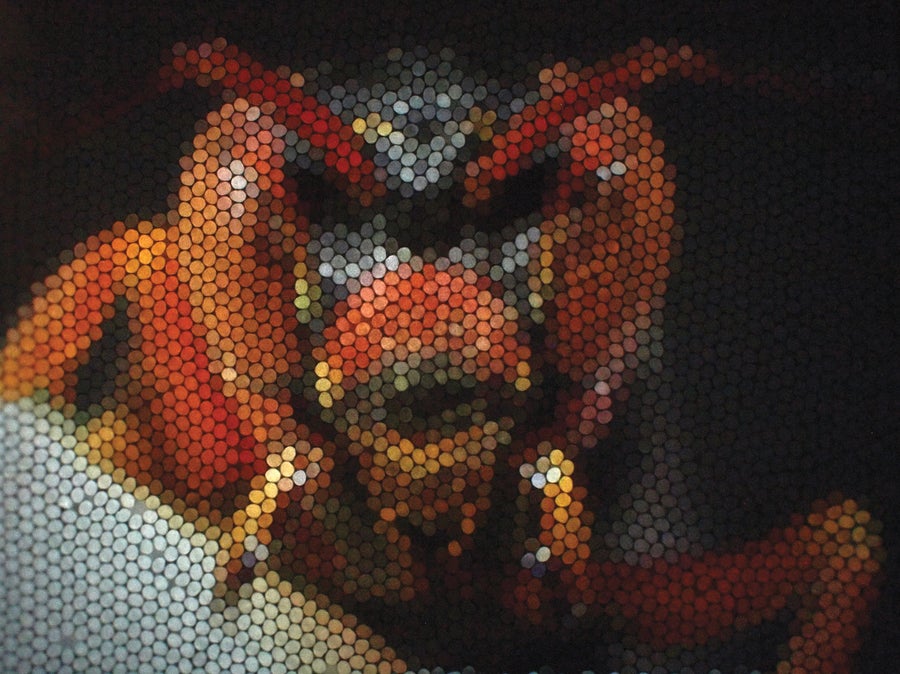 Insects Recognize Faces Using Processing Mechanism Similar to That of ...