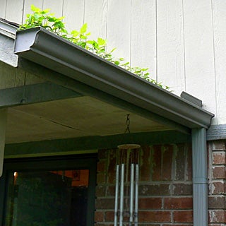 Environmentally Friendly Gutter Replacement Solutions - Scientific American