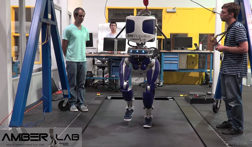 Shoe-Wearing Robot's No Flatfoot--It Walks like a Person | Scientific ...