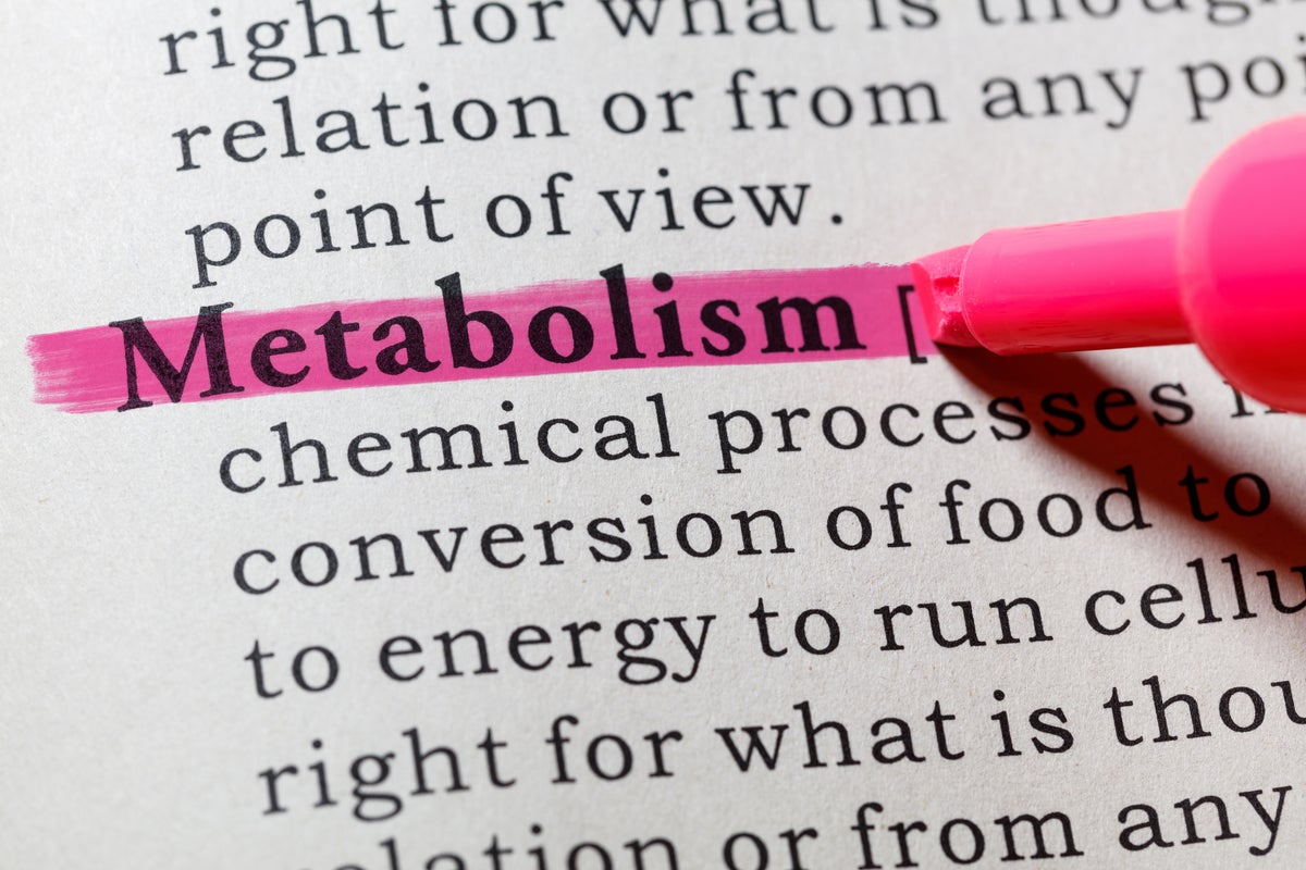What Is Your Metabolism? | Scientific American