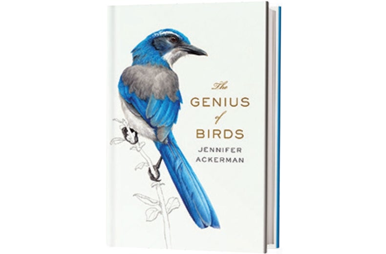 Book Review: The Genius of Birds - Scientific American