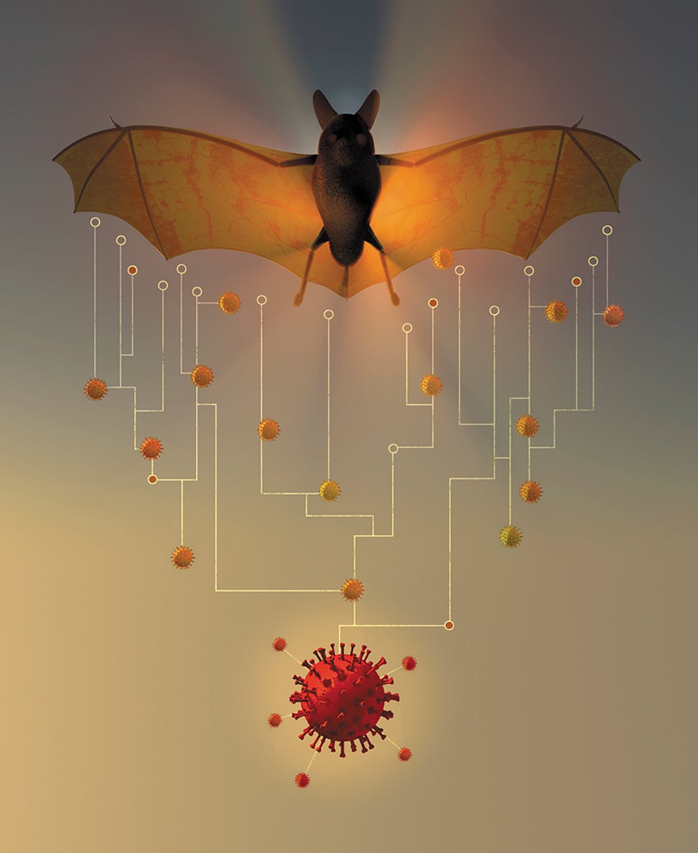 How China's 'Bat Woman' Hunted Down Viruses from SARS to the New ...