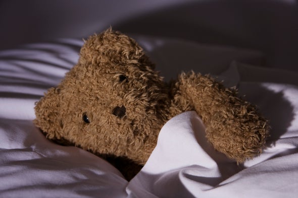 Bear Gut Microbes Help Prep Hibernation - Scientific American