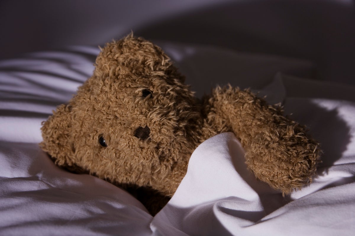 Bear Gut Microbes Help Prep Hibernation | Scientific American
