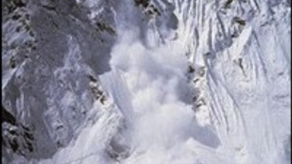 Fighting the White Death - Scientific American