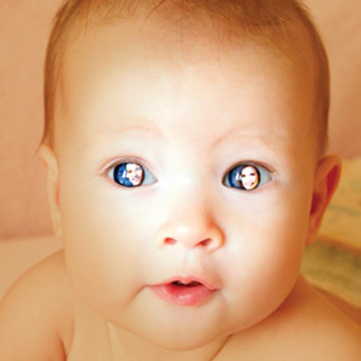 The Parent Brain | Scientific American