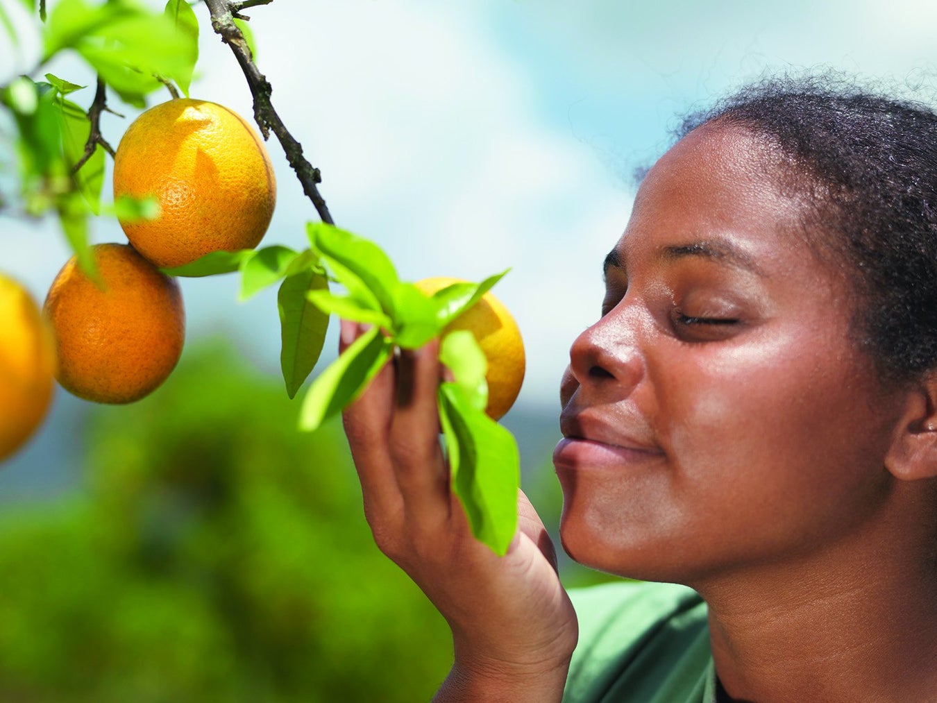 Unraveling the Mathematics of Smell | Scientific American