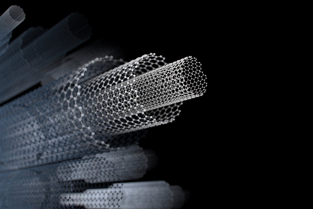 Super Yeast Tolerates Heat and Alcohol | Scientific American