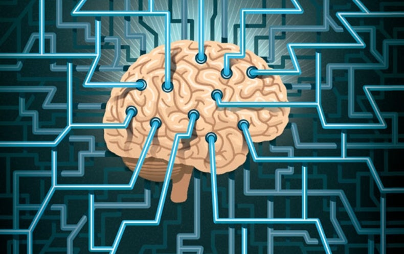 The Brain's Waste-Disposal System May Be Enlisted to Treat Alzheimer's ...