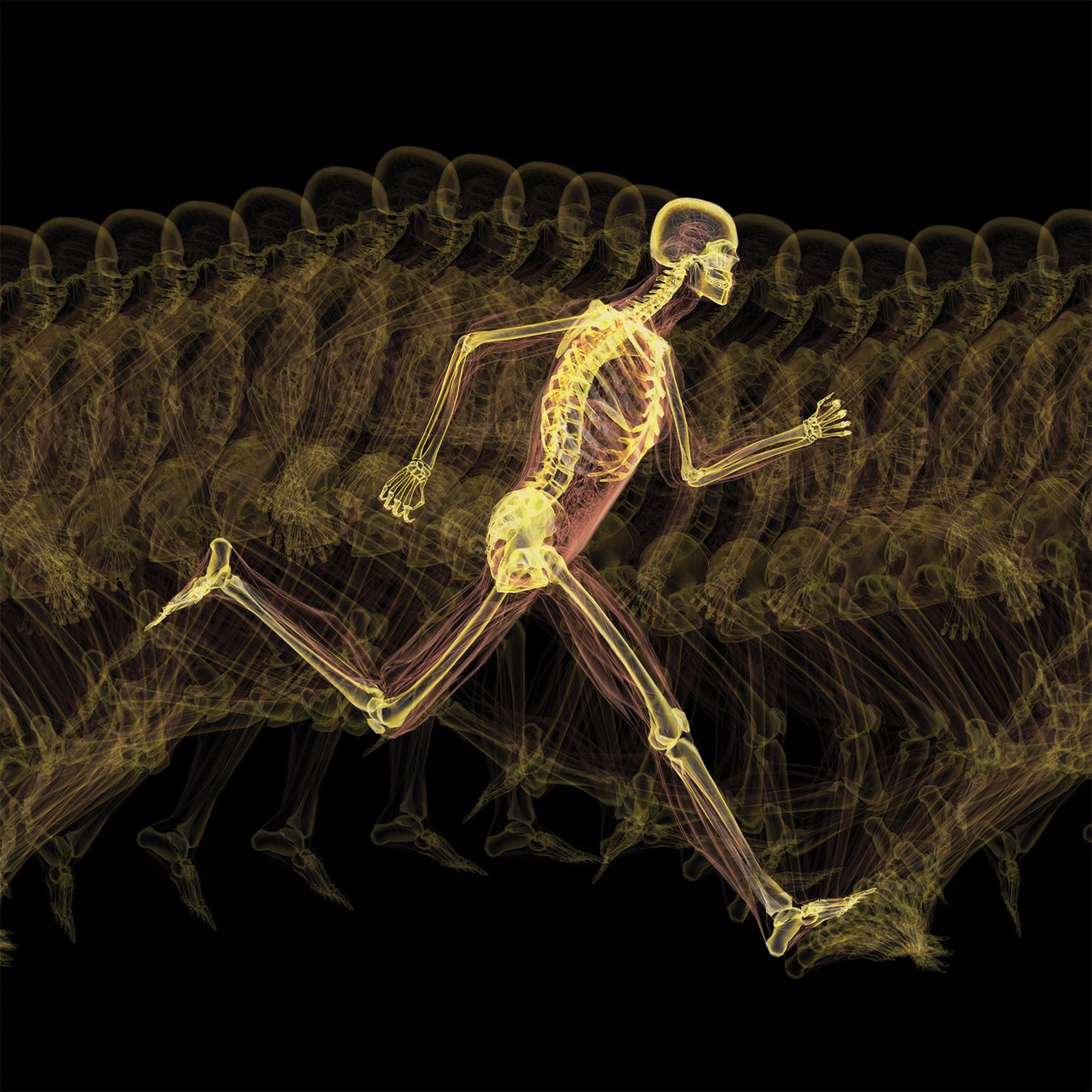 Humans Evolved to Exercise | Scientific American