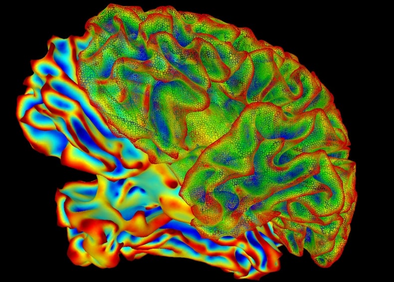 Can We Decipher the Language of the Brain? - Scientific American