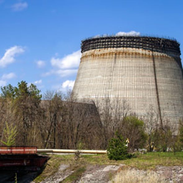 At Chernobyl, Radioactive Danger Lurks in the Trees - Scientific American