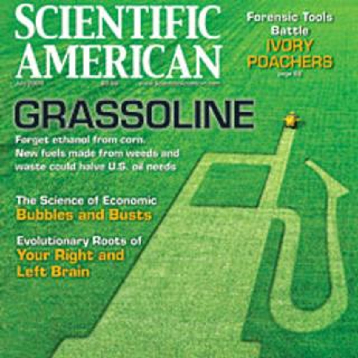 Readers Respond on "Grassoline" | Scientific American