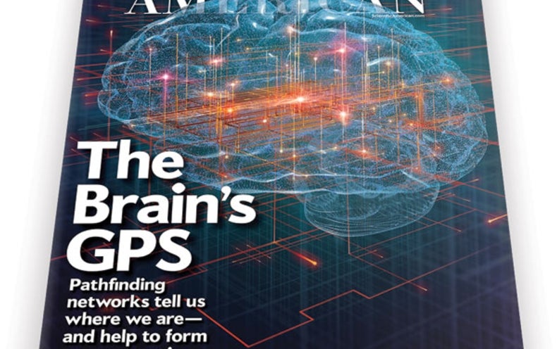 Finding Our Place with the Brain's GPS - Scientific American
