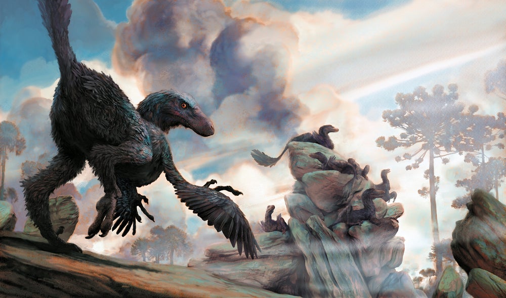 How Birds Evolved from Dinosaurs | Scientific American