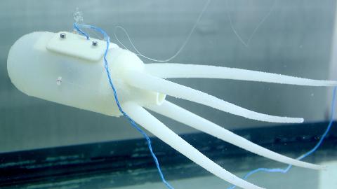 Soft Robots - Scientific American