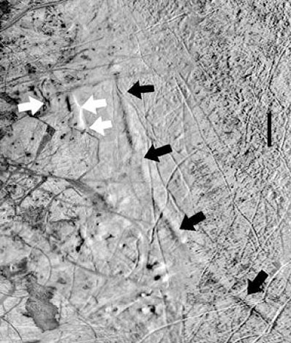 Europa's Wandering Poles | Scientific American