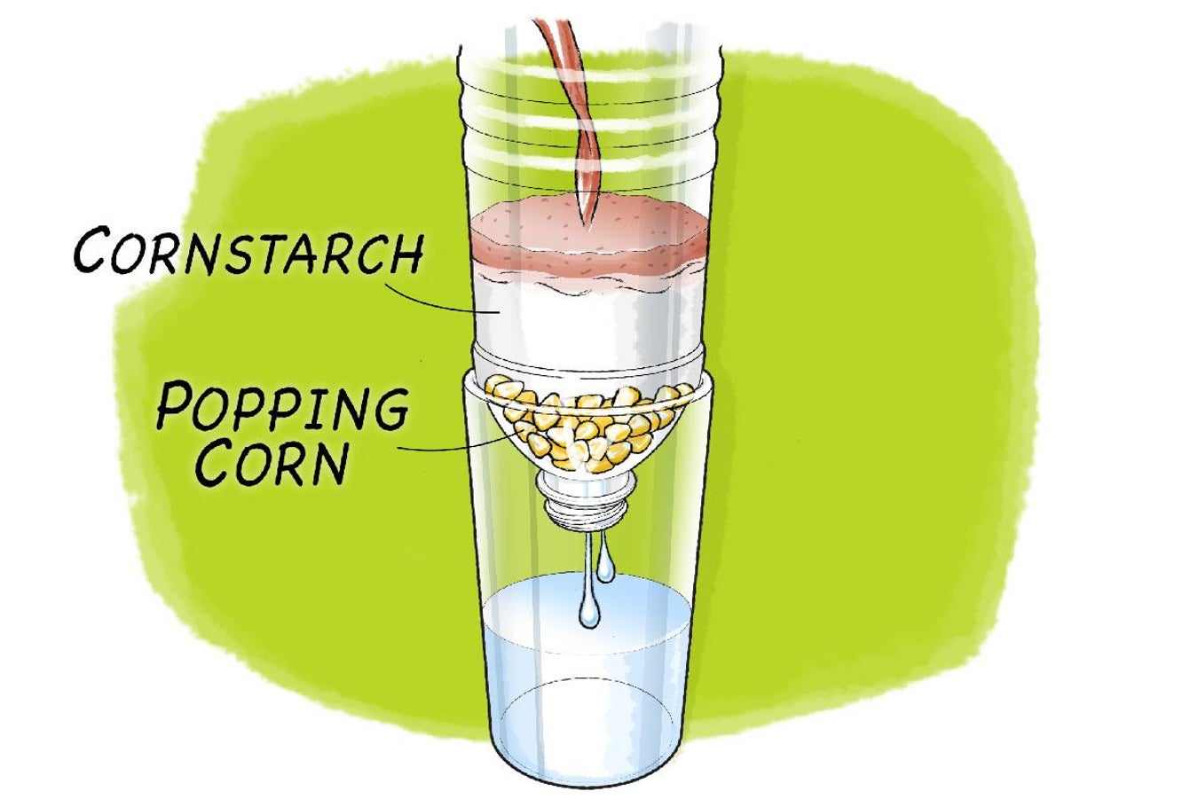 How Dirt Cleans Water | Scientific American