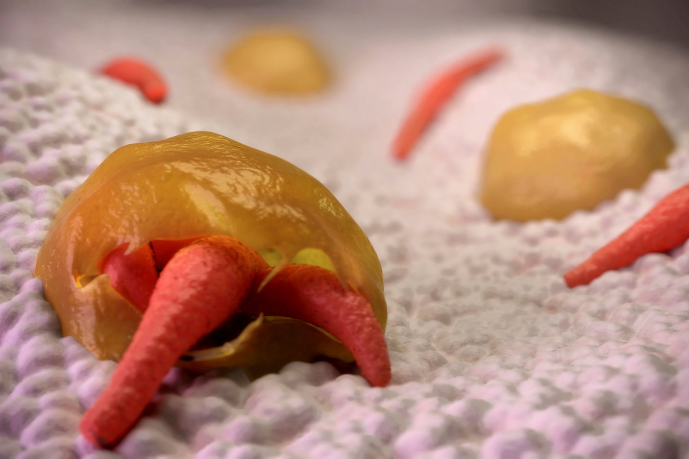 U.S. Drinking-Water Systems Still Haven't Defeated This Nasty Parasite ...