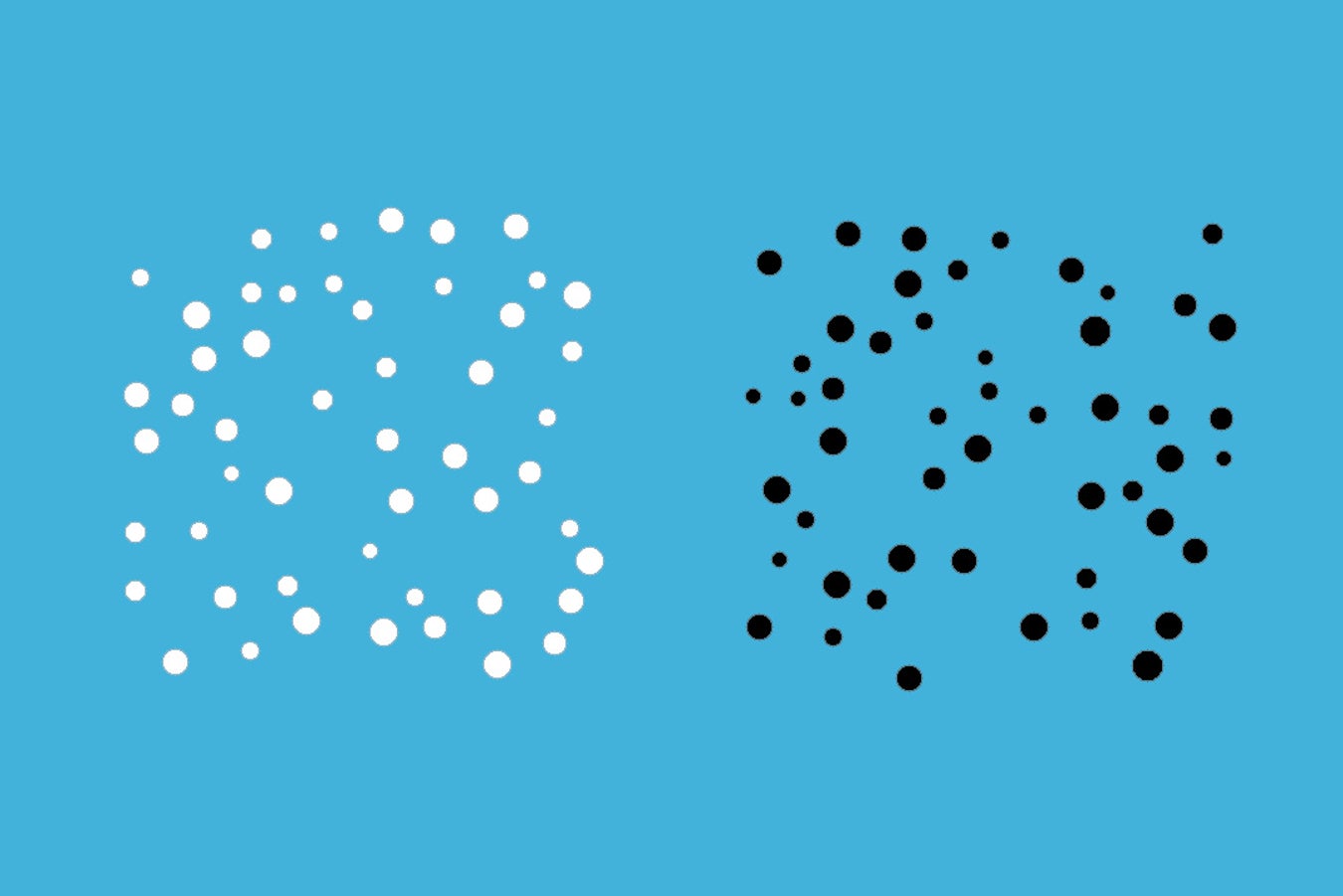 Humans Can Spot Tiny Numerical Differences | Scientific American