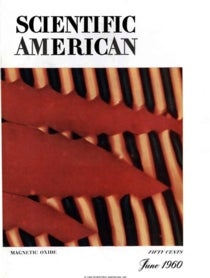 Loglan - Scientific American